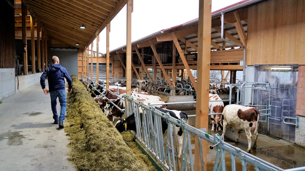 Die Schweizer Landwirtschaft 2024