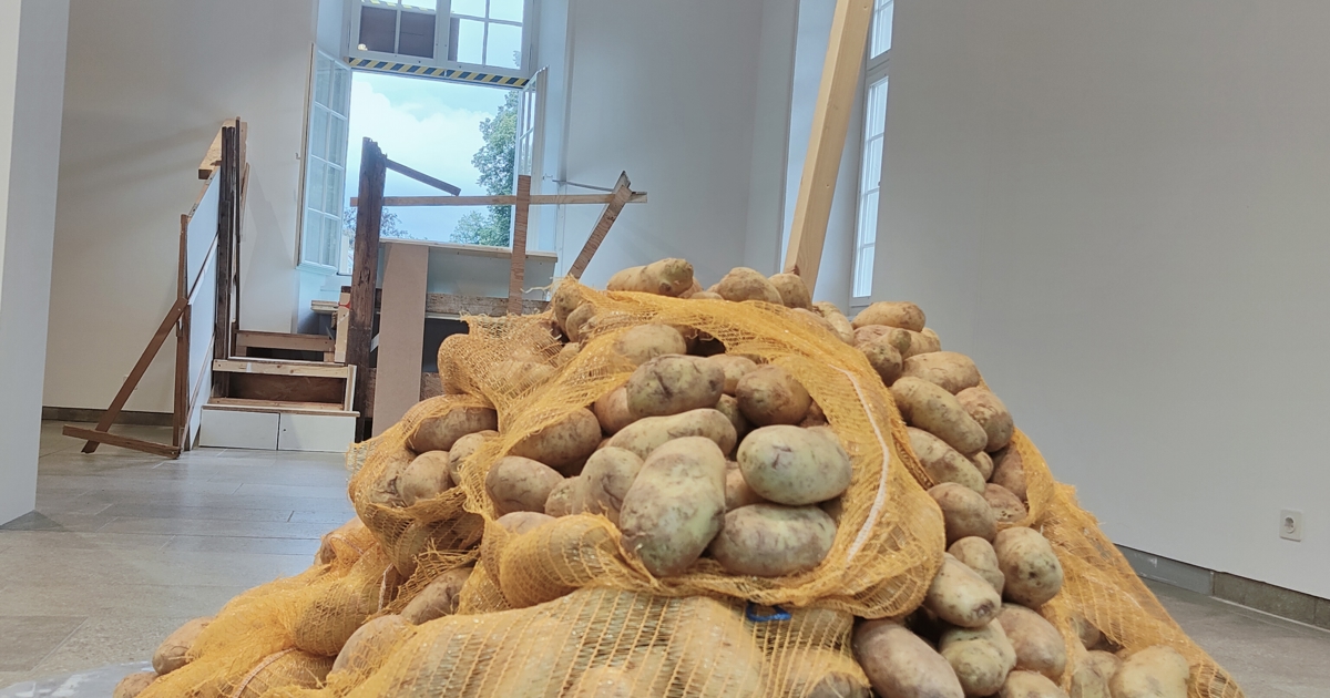 Verschlingen oder auf ewig konservieren