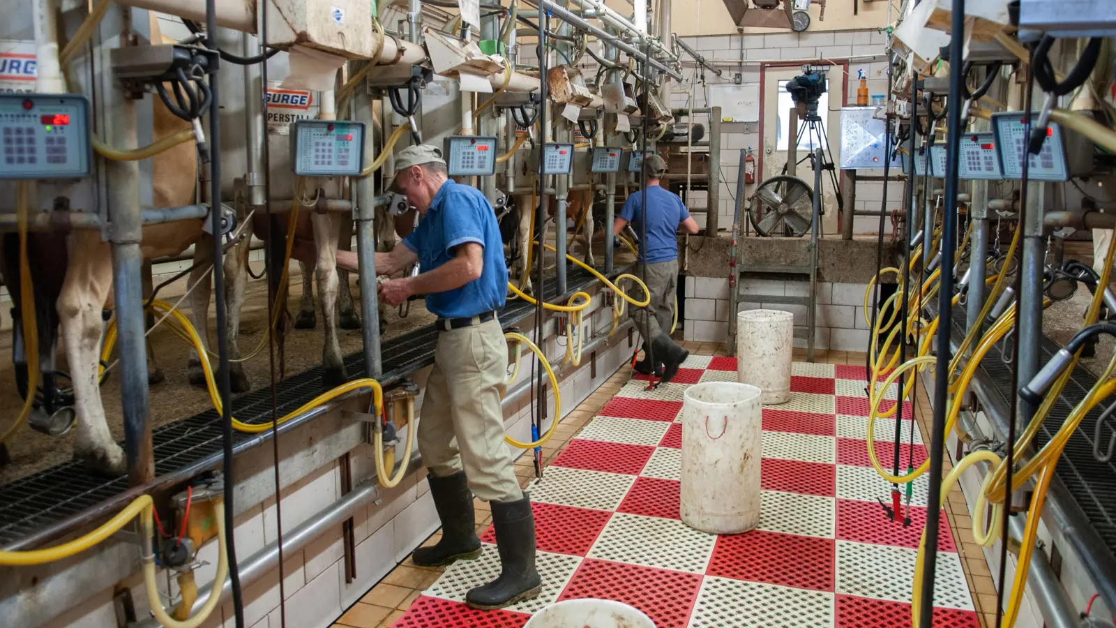 Infografik: Strukturwandel in der Landwirtschaft