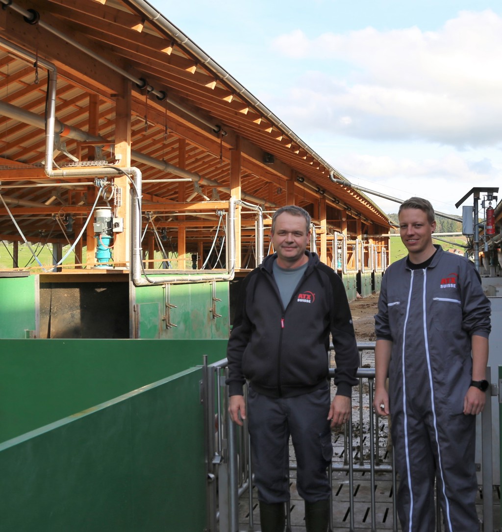 Schweine im Luftmatratzenstall