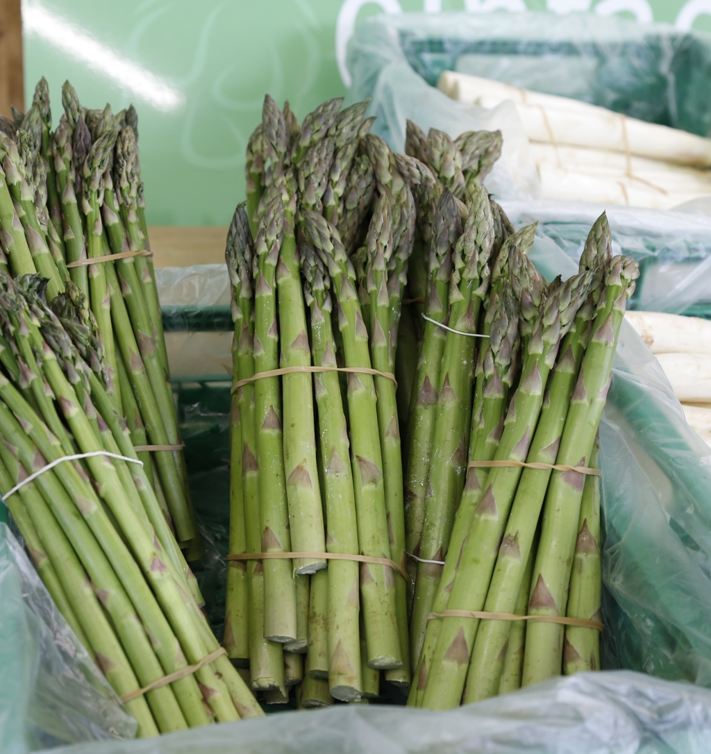 Spargel: Königin der Gemüse