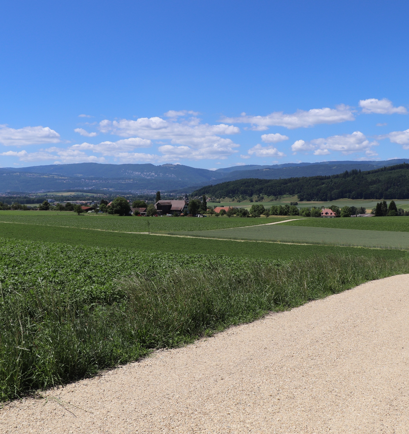 Melioration: Langer Atem für ein Generationenprojekt