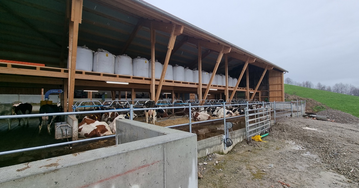 Raumplanung als Raum für Innovation