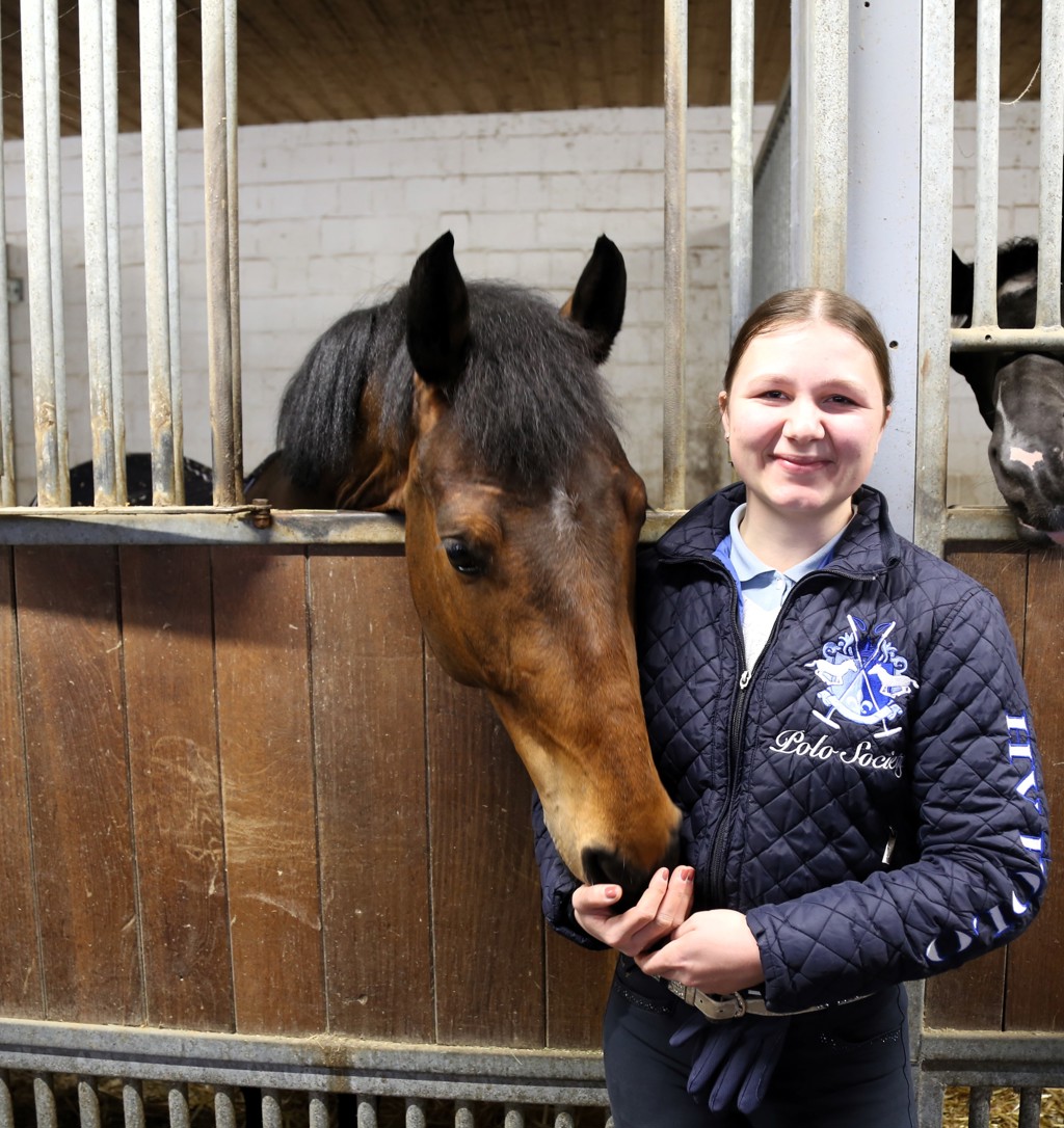 Zwischen Pferdepflege und Dressur: Der Weg zur Pferdefachfrau
